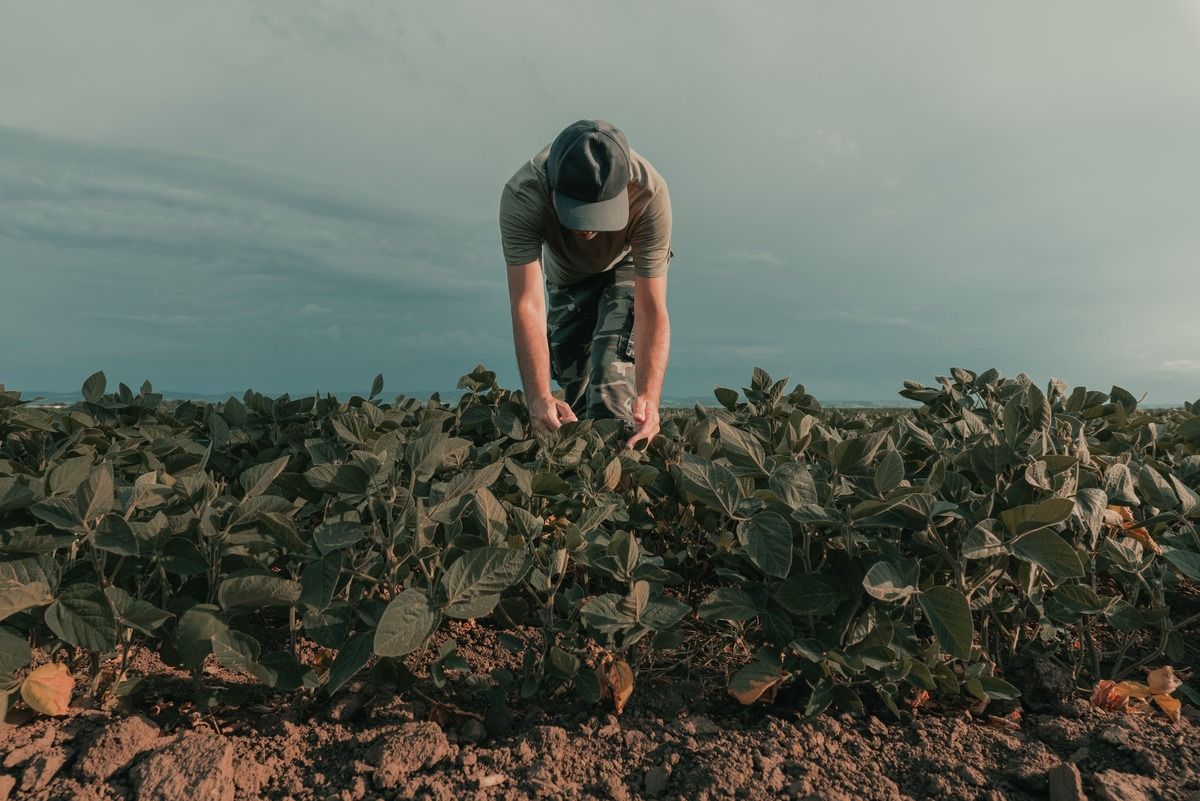 Por qué somos tu mejor proveedor.